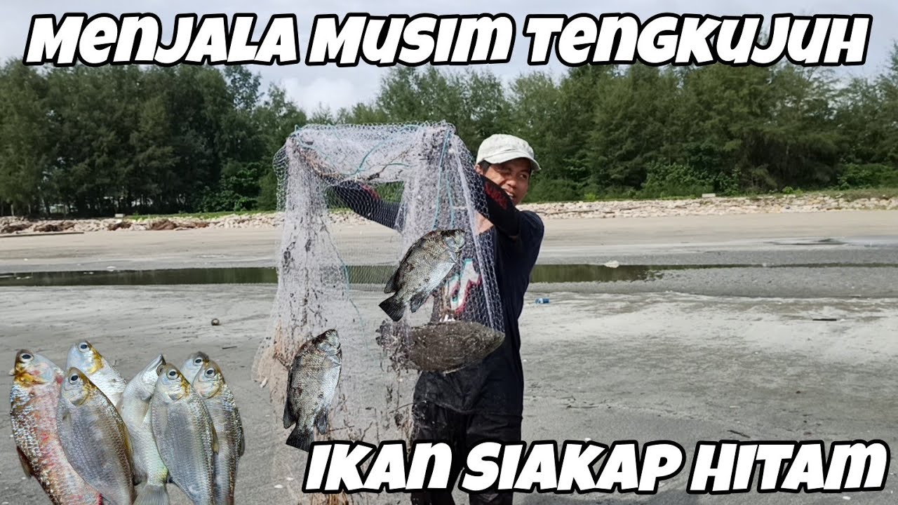 PERTAMA KALI JEKPOT IKAN SIAKAP HITAM SAIZ BESAR - YouTube