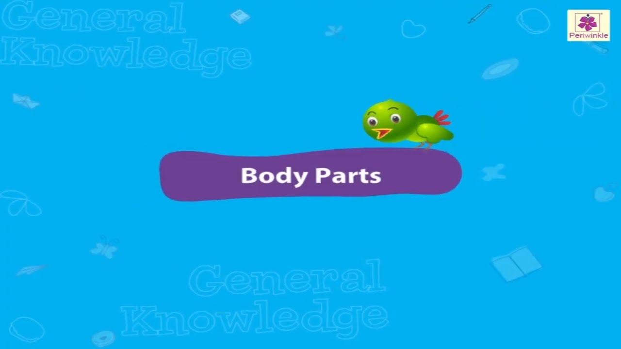 Body Parts | Now You Know Book A | Periwinkle - YouTube
