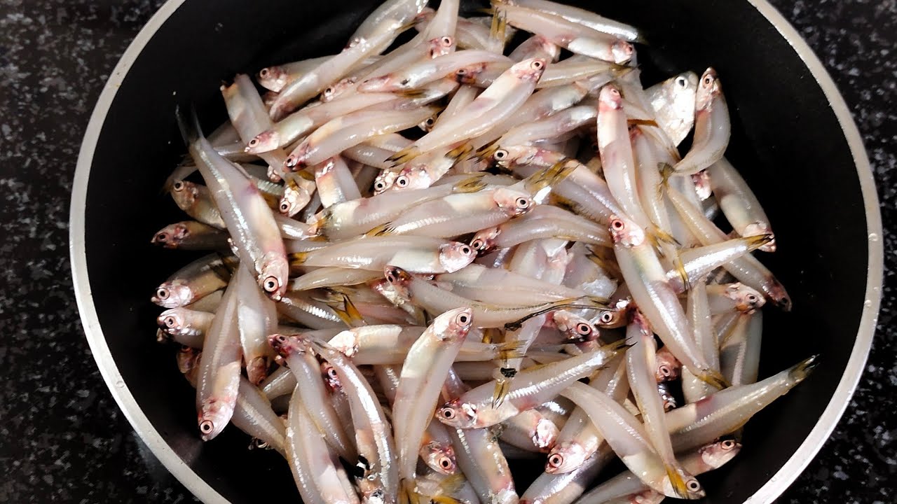 കൊഴുവ ഇങ്ങനെ തയ്യാറാക്കൂ! പാത്രം കാലി ആകുന്നതറിയില്ല!/Kozhuva recipe ...