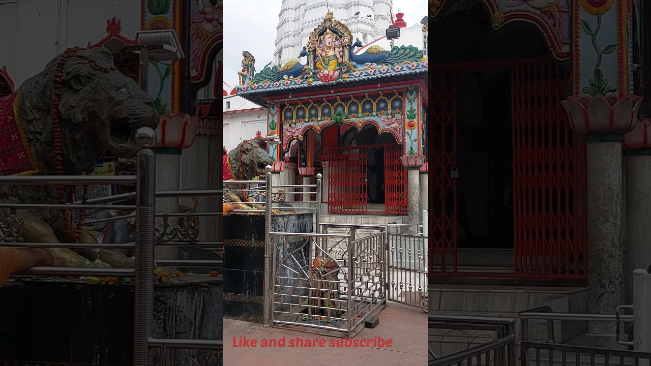 Maa Samaleswari Temple 🙏🙏 Sambalpur odisha Tour #youtube #sambalpuri ...