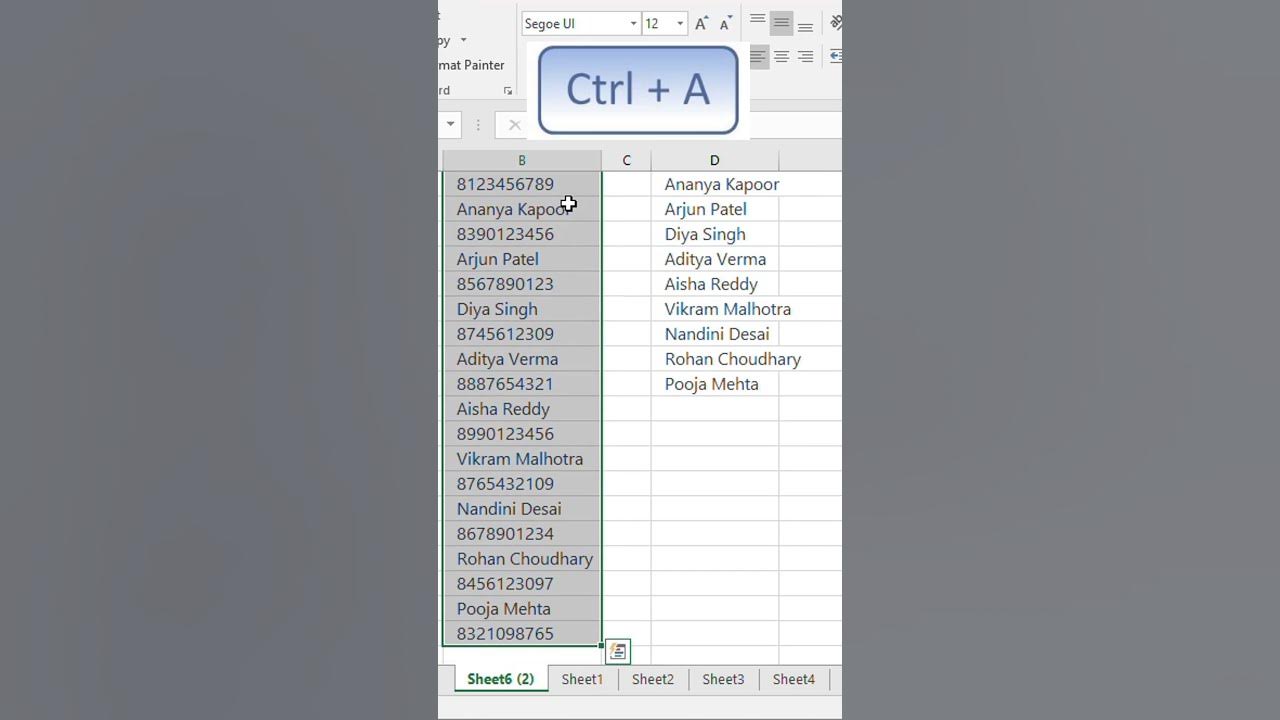 HOW TO SEGREGATE DATA IN EXCEL? - YouTube