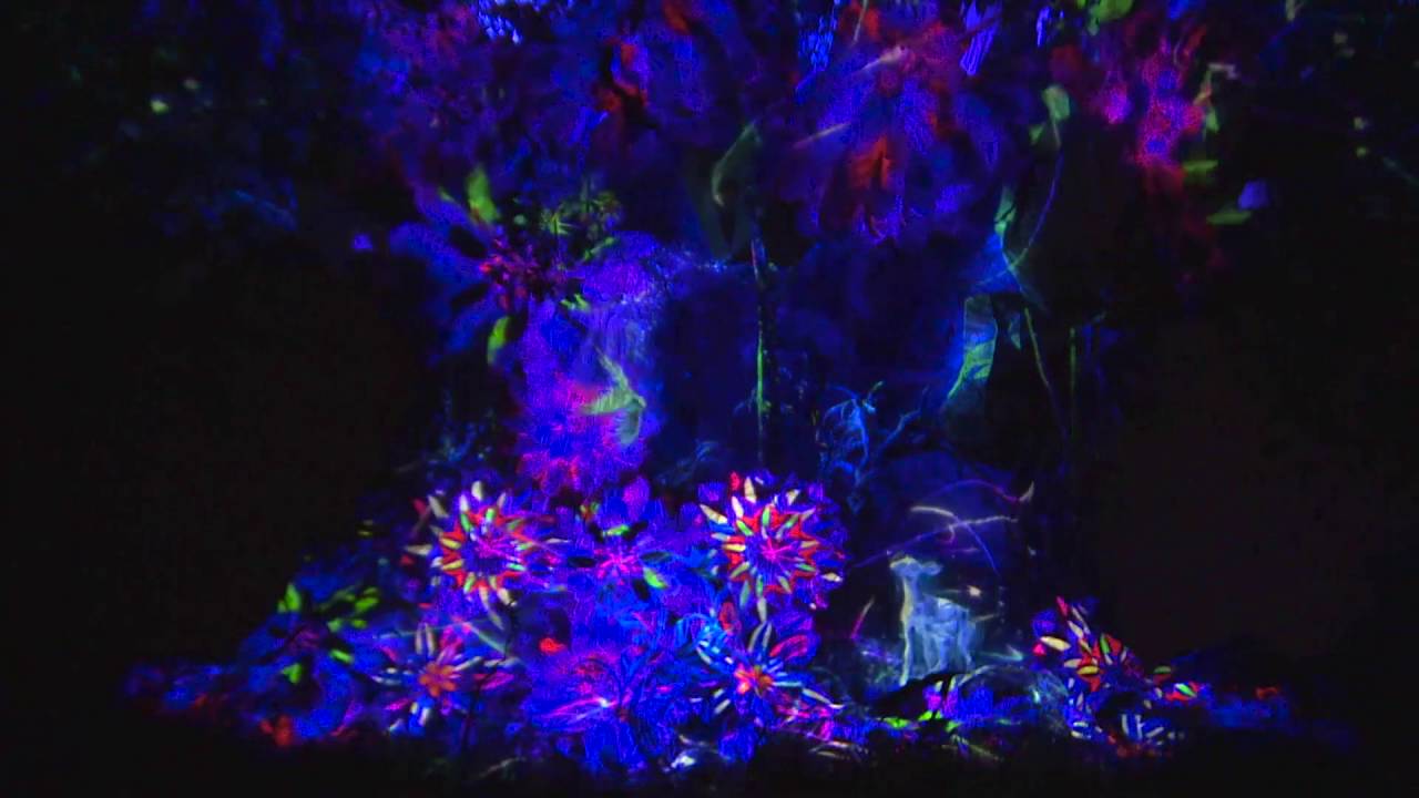 Tree of Life Awakens at Night - New Nighttime Show at Animal Kingdom ...