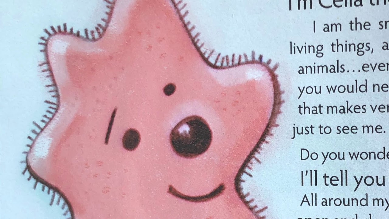 Celia The Cell: The Simplest Life Form, Yet Amazingly Complex ...