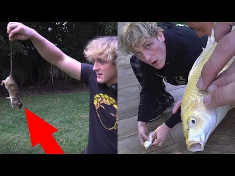 Logan Paul ABUSES Animals