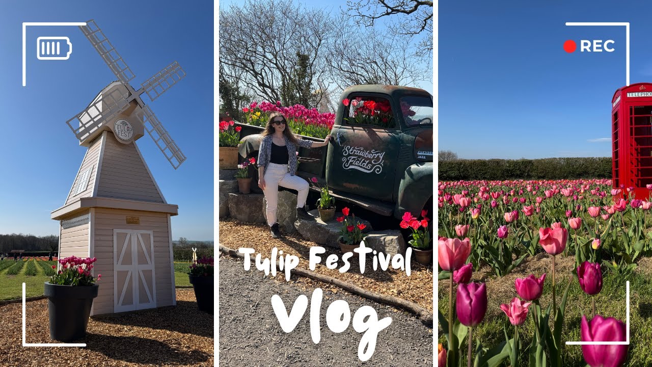 Strawberry Fields Tulip Festival | UK Tulip Fields | Chatty Vlog ...