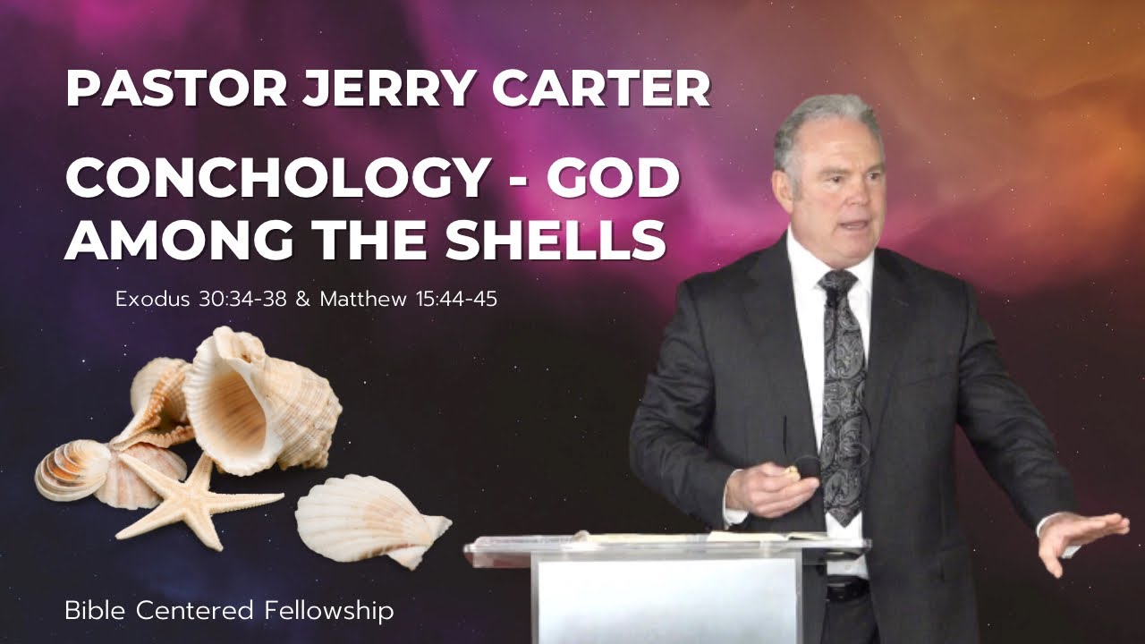 Conchology - God Among The Shells: Exodus 30:34-38 & Matthew 15:44-45 ...