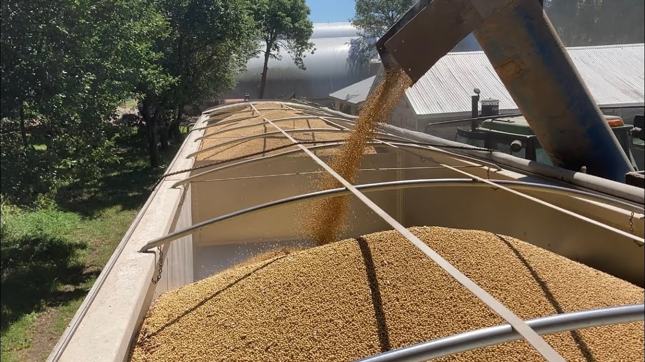 Moving to another bin to load out soybeans - YouTube