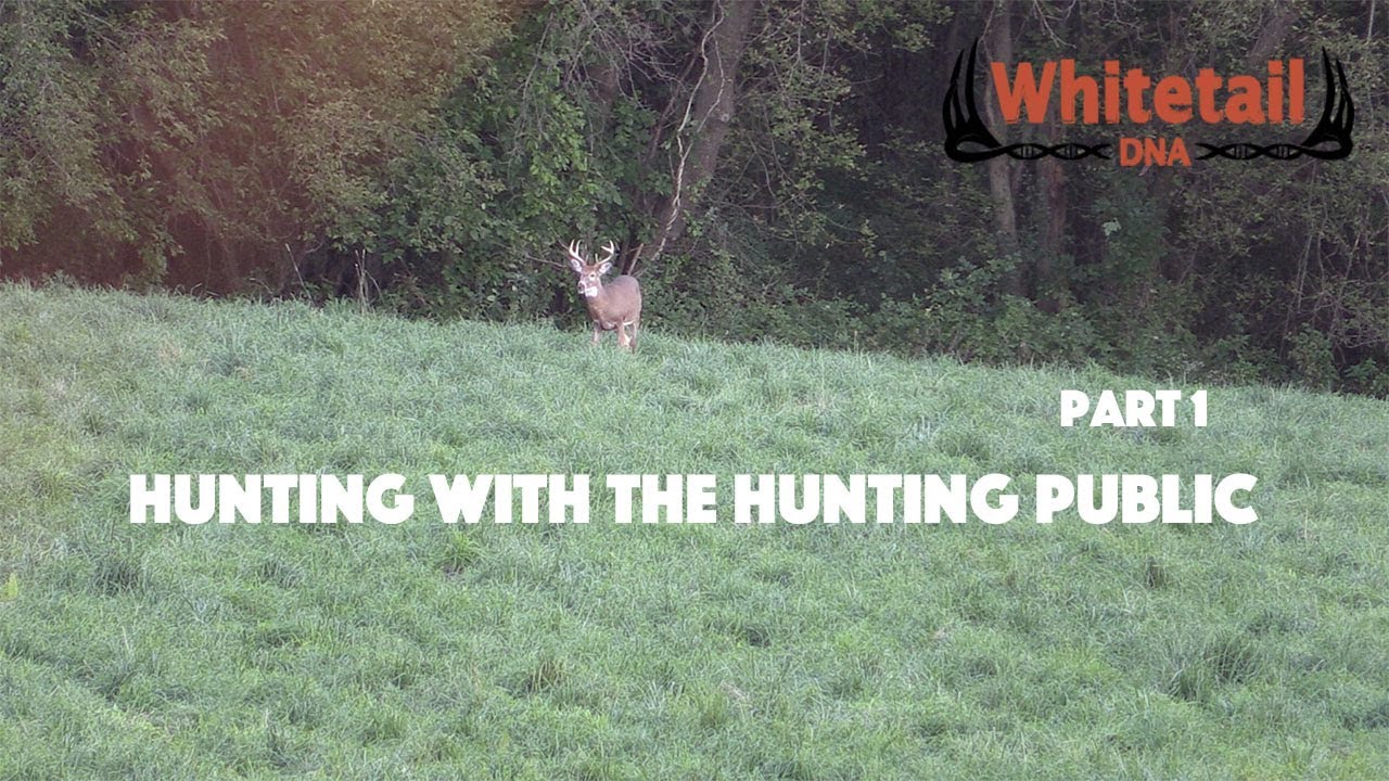HUNTING WITH THE HUNTING PUBLIC PART 1 - 2018 Vlog #26 - YouTube