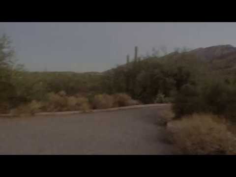 Mountain Lion at Sabino Canyon June 2018