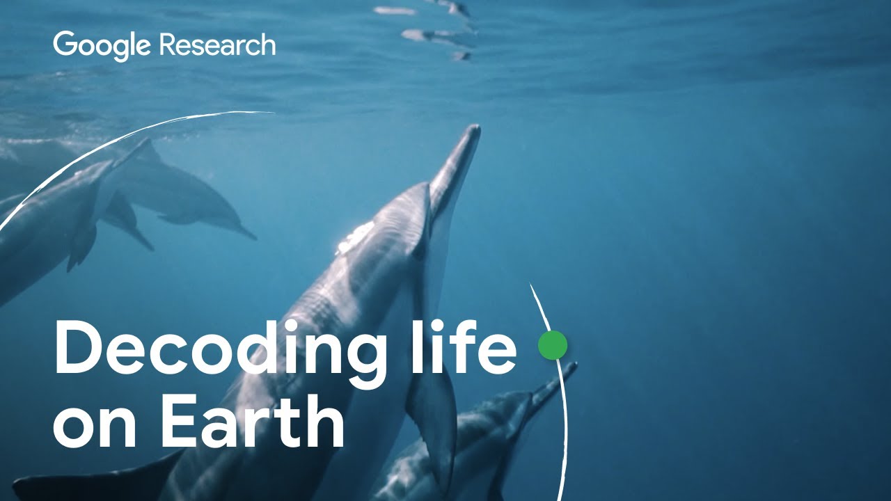 Decoding Life on Earth | Google and the Earth Biogenome Project - YouTube