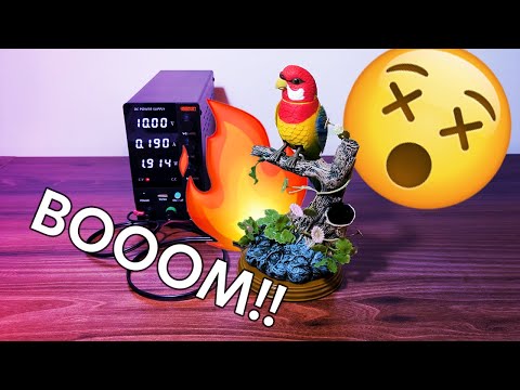 Hangi oyuncak ALEVLER İÇİNDE kalacak??? (YÜKSEK VOLTAJ DENEYİ!!!)