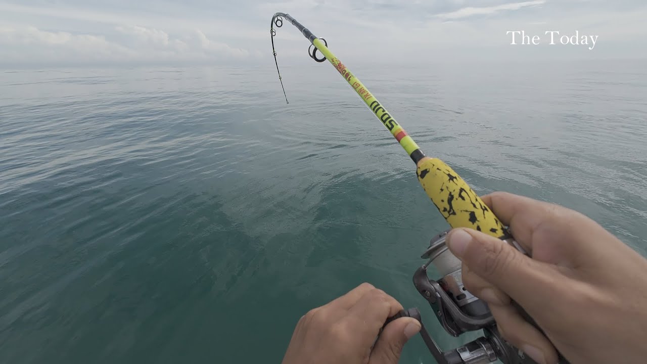 Fast Attack, Continuous Fish Attack Using Live Shrimp Bait - YouTube