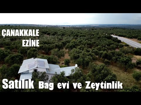 (Satış dışı) Çanakkale Ezine Bağ evi ve Zeytinlik 2197 m2