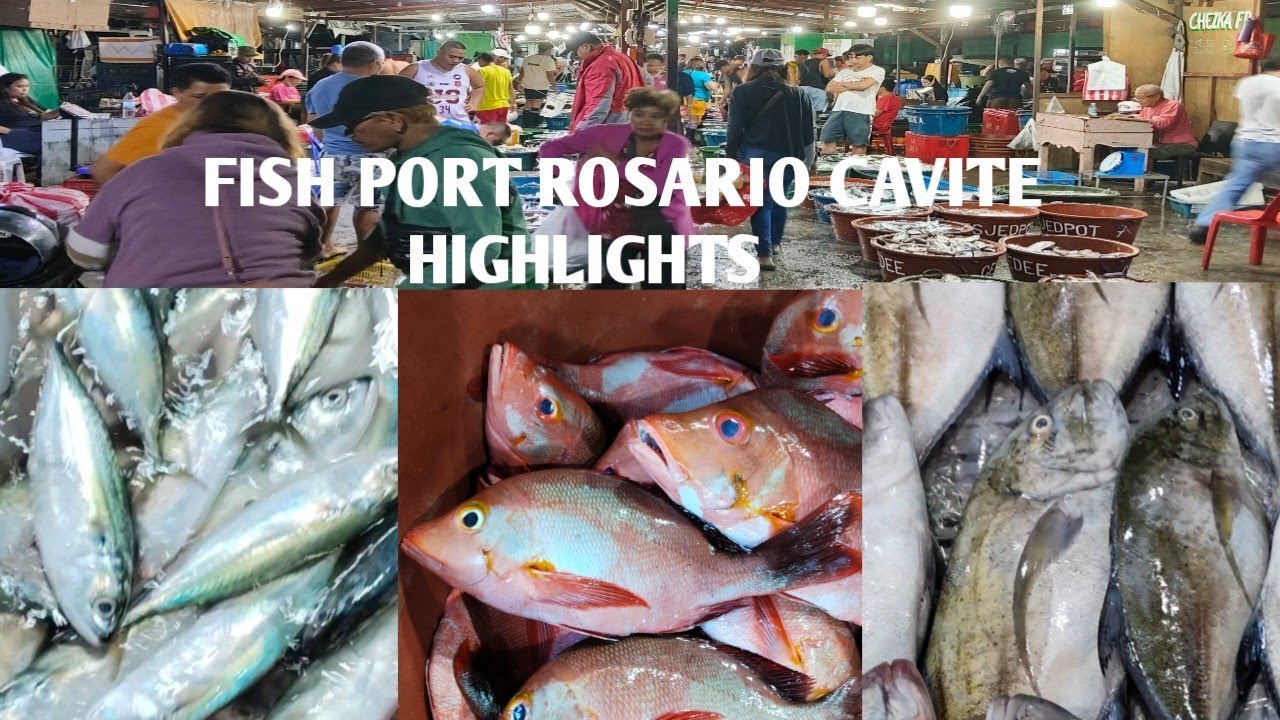 BULONGAN FISH PORT ROSARIO CAVITE GRABE BAGSAK PRESYONA ANG MAGAGANDANG ...