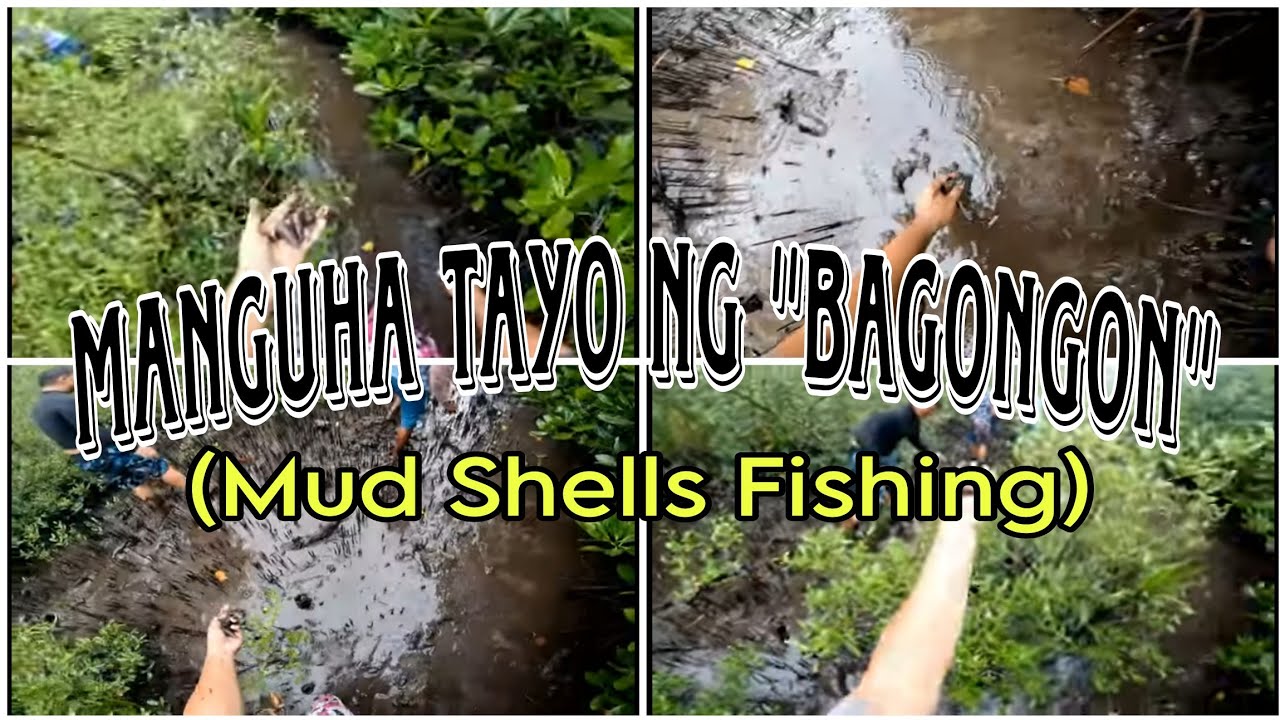 Manguha Ng "Bagongon" Mud Shells #BuhayProbinsya,#LowlifeinSamar - YouTube
