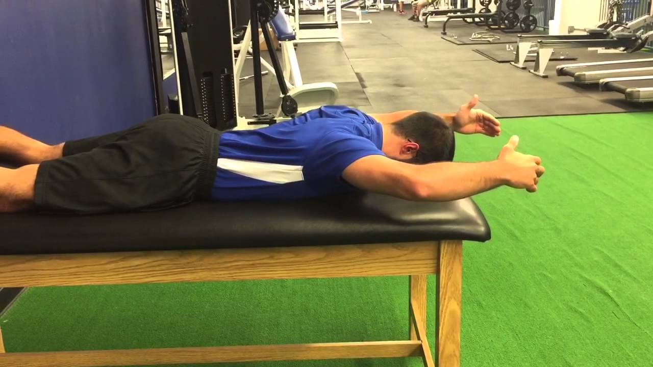 Long Lever 2 Arm Low Trap Raise - YouTube
