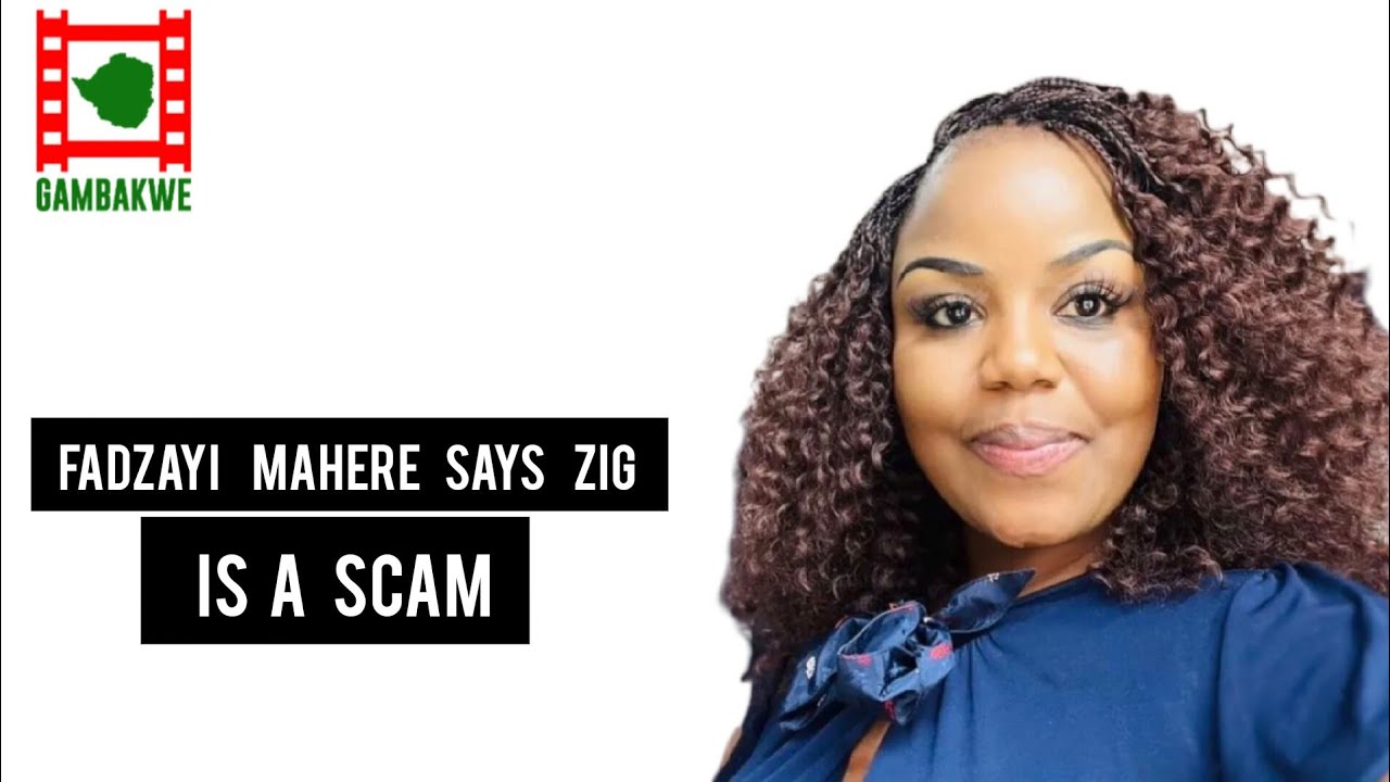 Mahere Says The New Zimbabwe Currency "ZiG" Is A Scam . - YouTube