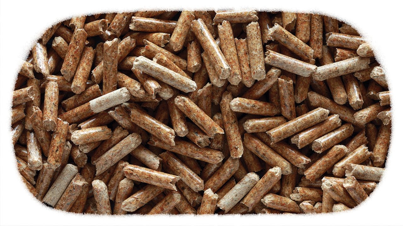 GRANULE comment ca marche Intégrale - YouTube