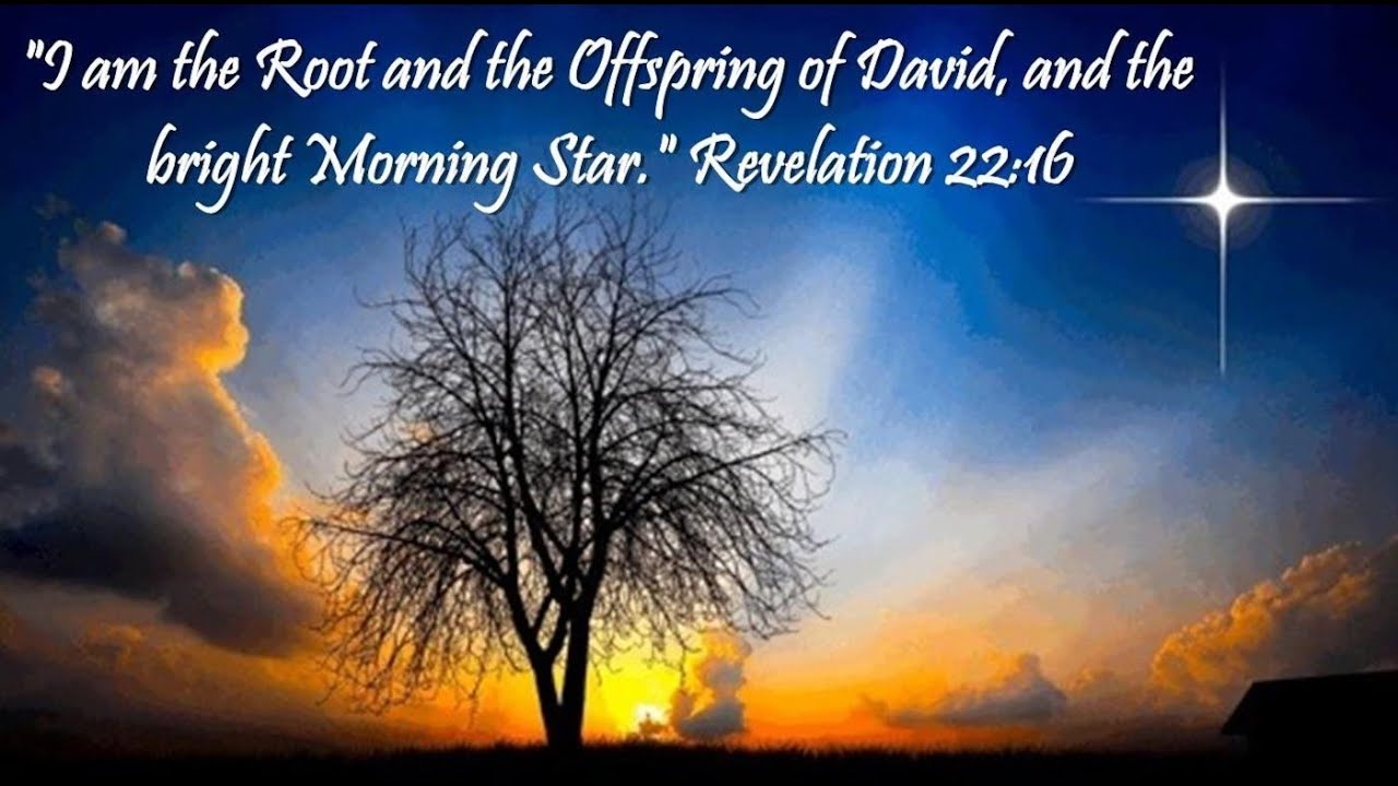 Jesus sends his angel to shed light upon the earth & in our hearts ...