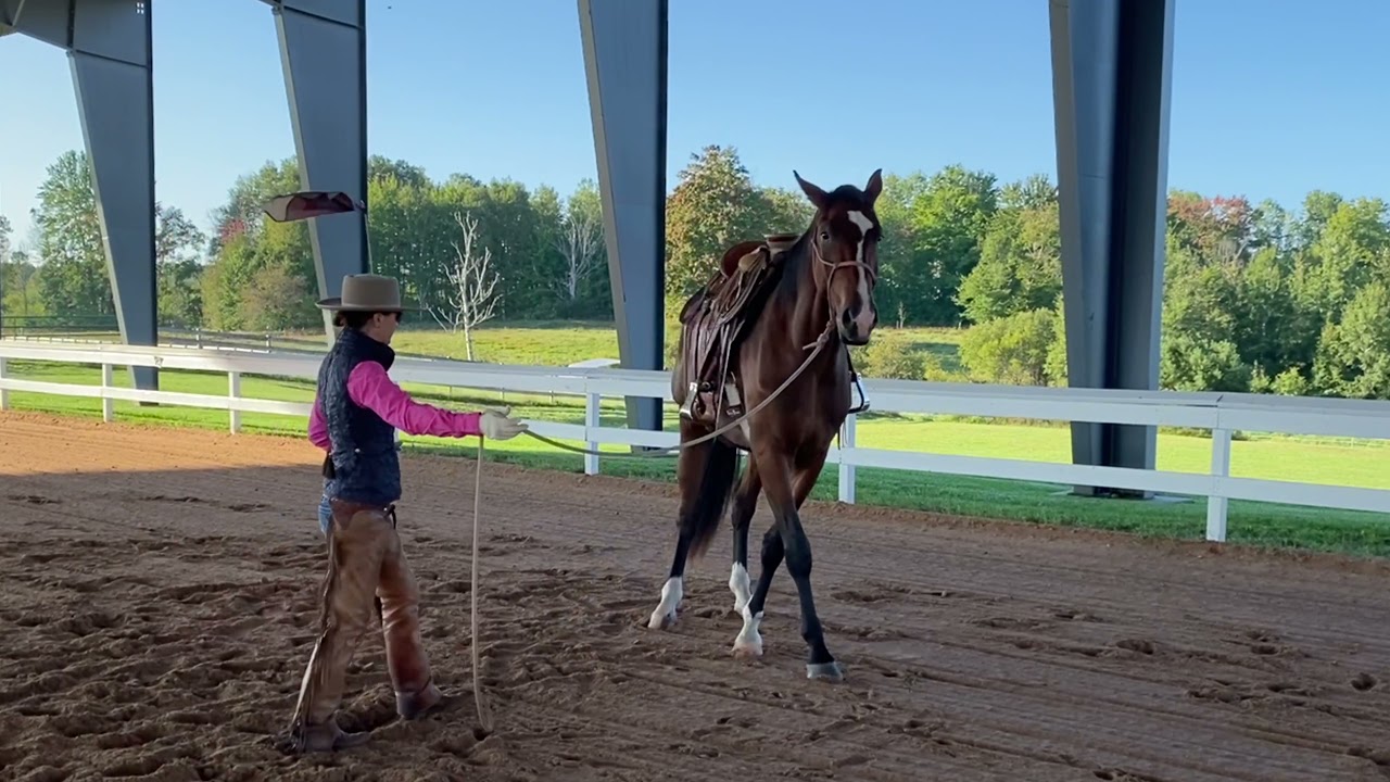 4 Essentials to Groundwork - YouTube