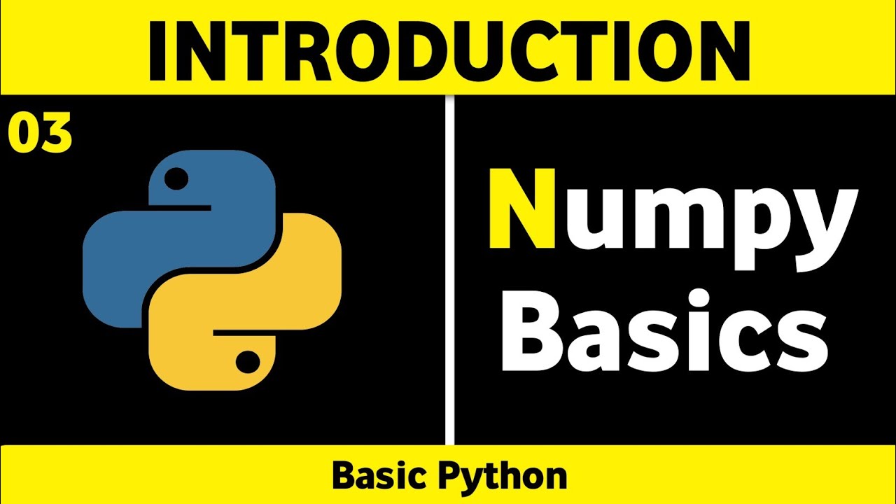 Introduction To Numpy Basics Python M3 R5 O Level Practical Part 03 2235
