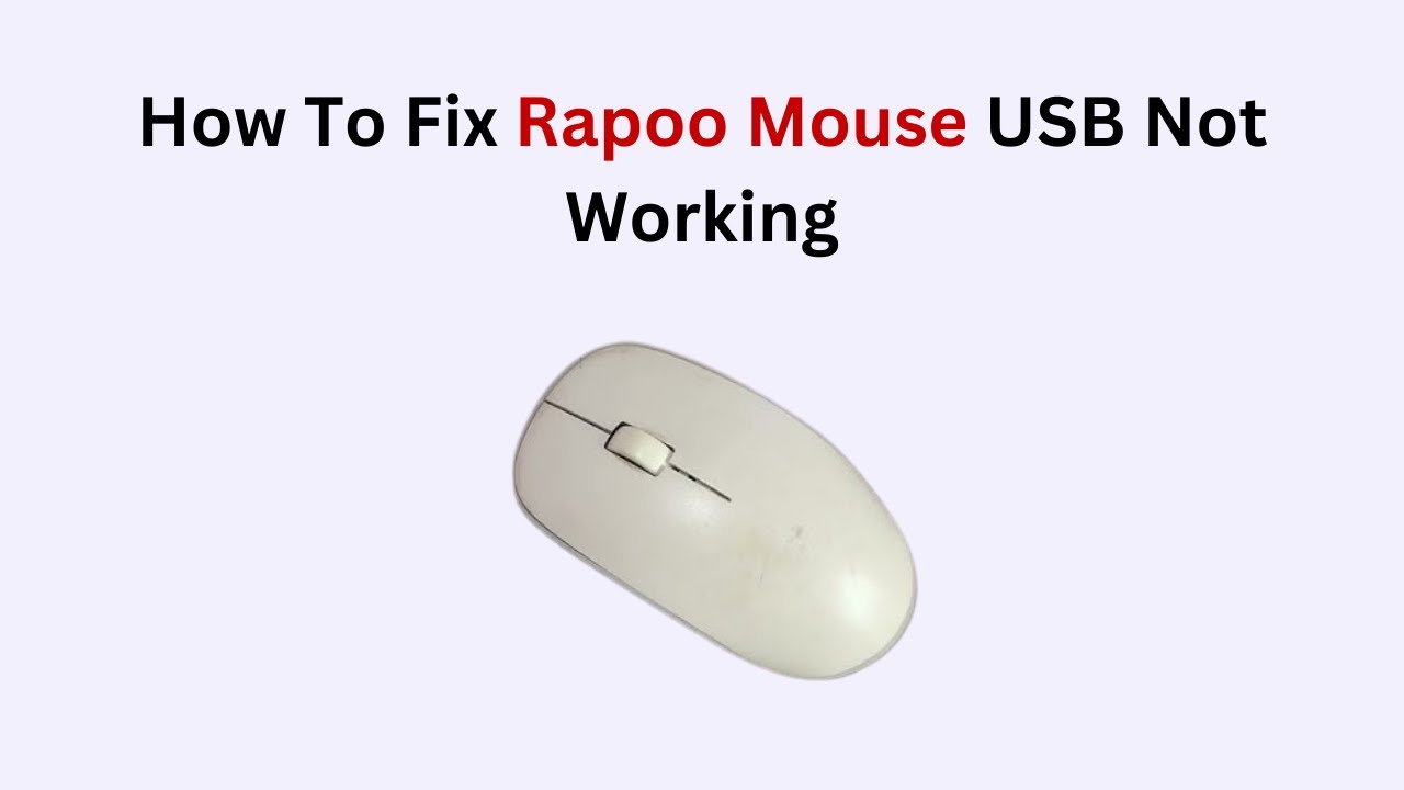 How to Fix Rapoo Mouse USB Not Working – USB Receiver Not Detected or ...