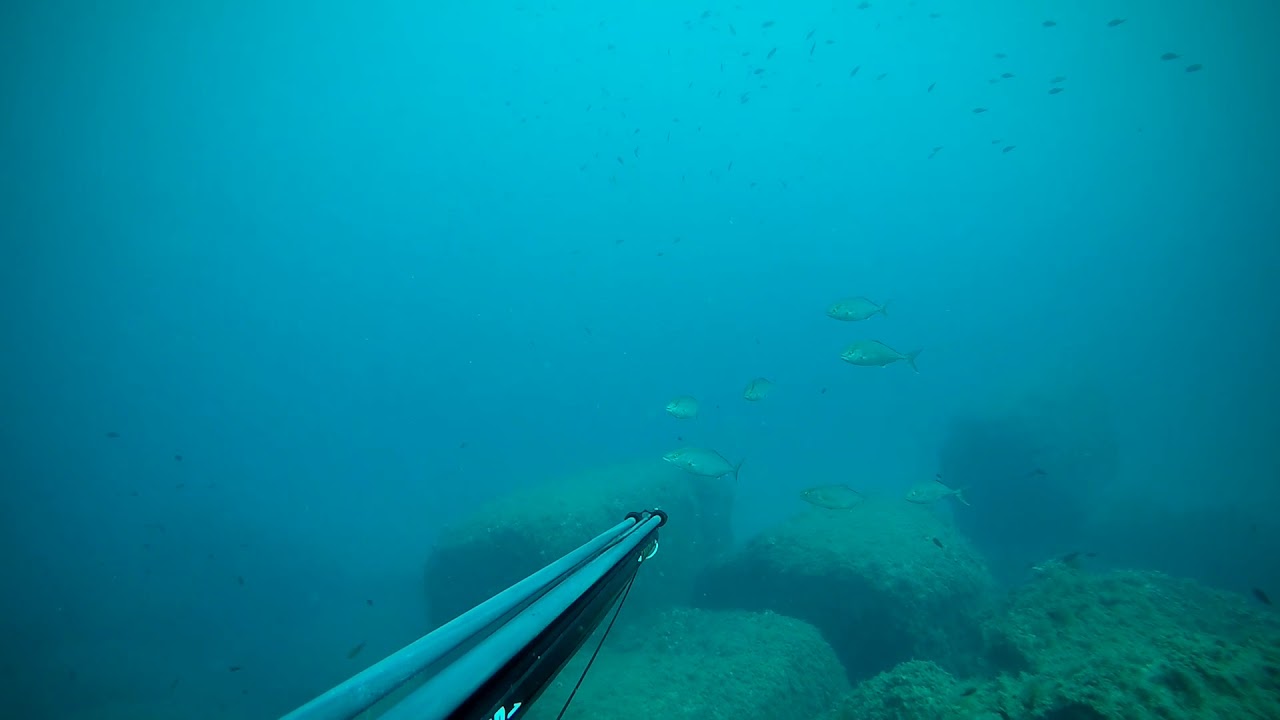 Spearfishing tunisia / chasse sous marine tunisie - YouTube