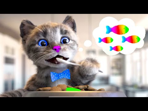 KİÇƏK KİTTEN MƏCƏRASININ ÖYRƏNMƏSİ - UŞAQLAR ÜÇÜN MƏKTƏBDƏ PİŞİYƏ İLƏ TƏRBİQİ OYNAQ VİDEO