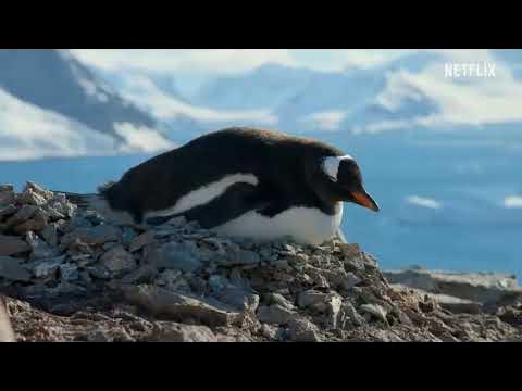 14 !!! Our Planet Frozen Worlds FULL EPISODE Netflix - YouTube