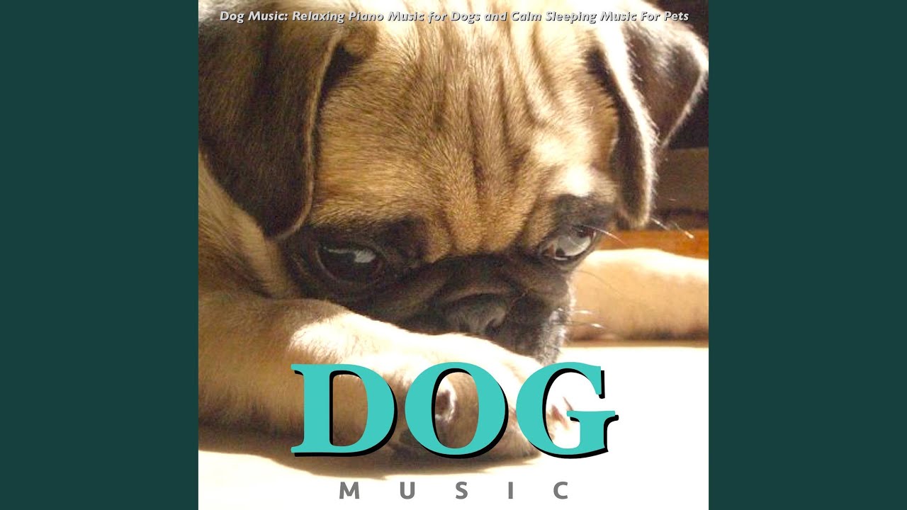 Music For Puppies YouTube music-for-puppies-youtube
