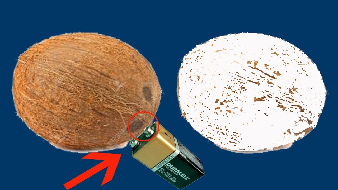 Truco para sacar la carne de un coco perfecta trick to remove coconut ...