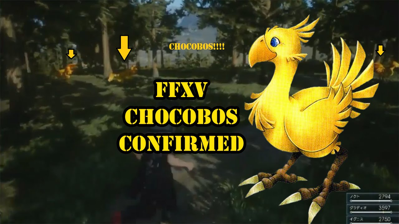 FFXV Chocobos Confirmed! - YouTube