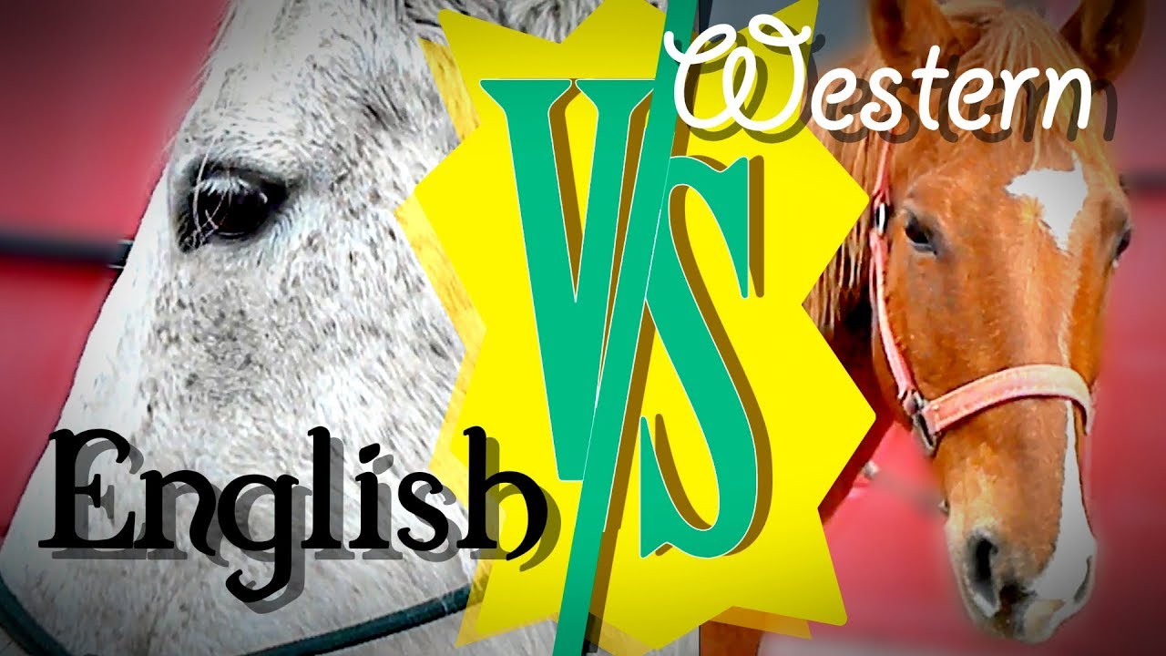 Which One Should You Ride? | English VS Western - YouTube