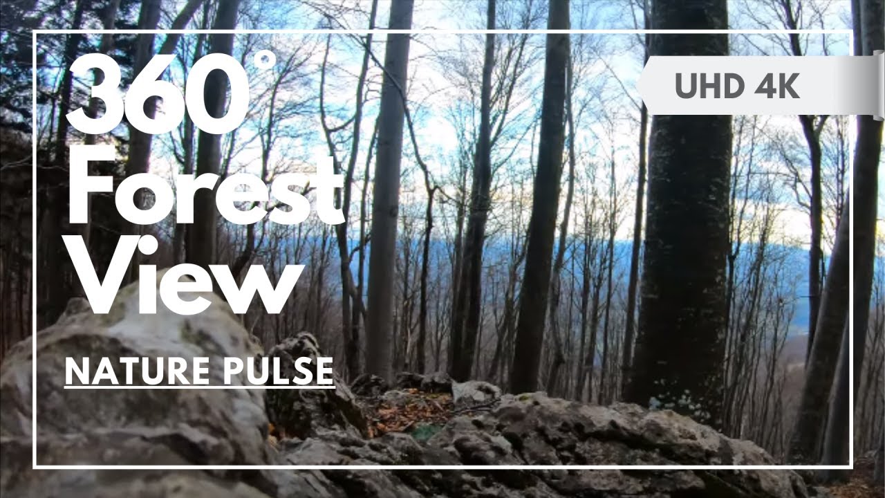 Camera Rotating In The Middle Of The Forest On A Mountain Ultra HD 4K ...