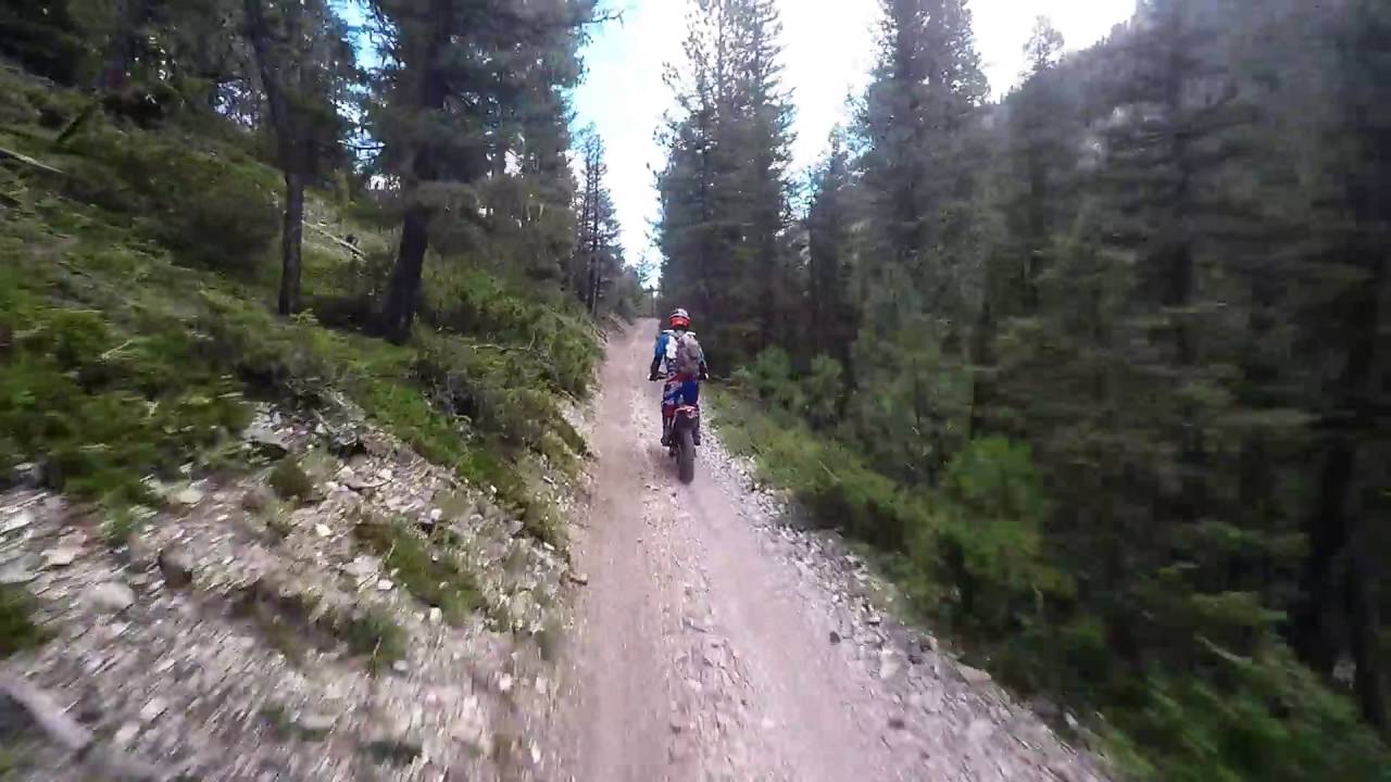 haymaker, dirt bike trail in the Little Belts, Montana - YouTube
