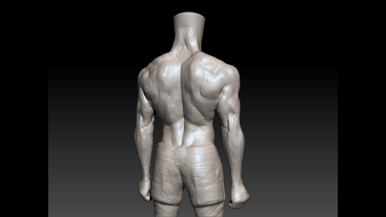 30 Minutes Zbrush Sculpting 54 Muscle 30 - YouTube