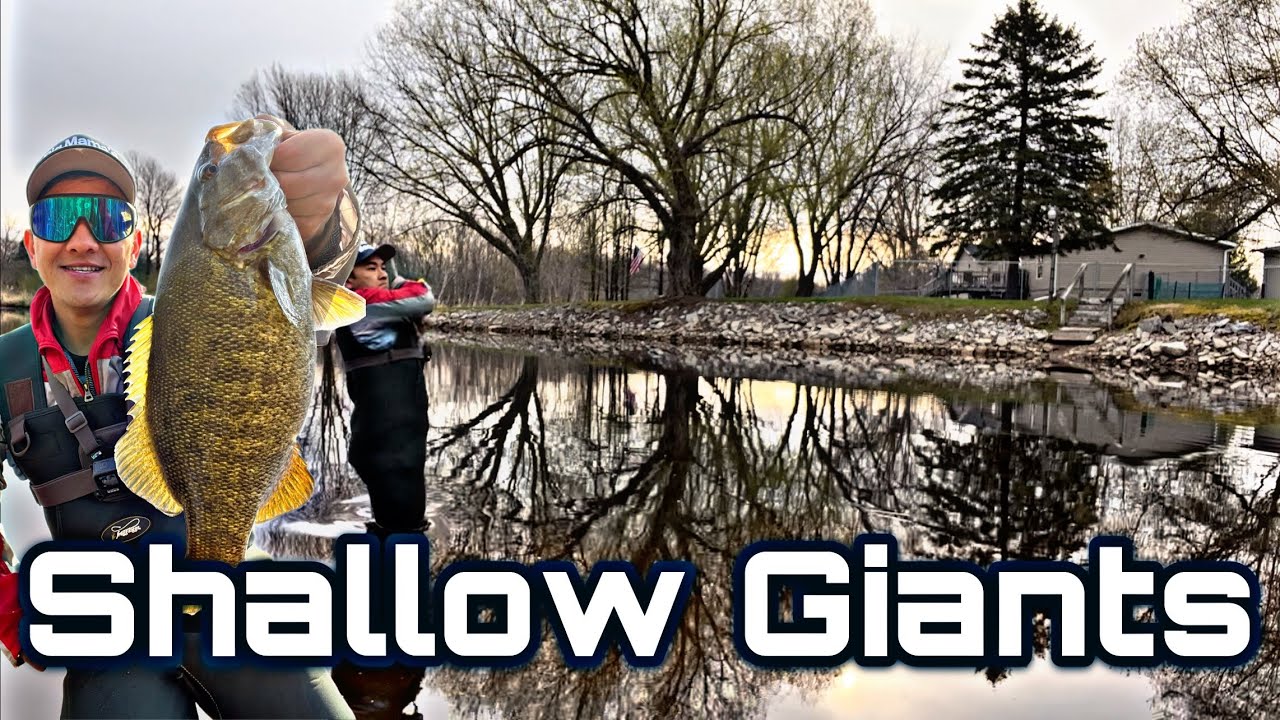 Incredible Super Shallow Fishing For Some Giant Fish - YouTube