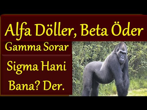 Alfa Döller, Beta Öder, Sigma Ne Der? | Ana Fikir Serisi