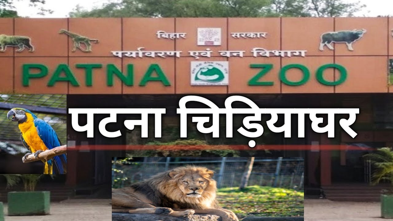 Patna Zoo | पटना चिड़ियाघर | Sanjay Gandhi Biological Park | Patna ...