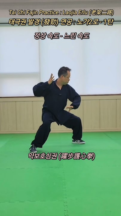태극권 발경(發勁) 연공 : 노가2로 - 1탄 : 정상 속도 - 느린 속도 Tai Chi Fajin Practice : Laojia Yilu - Part 1 - YouTube