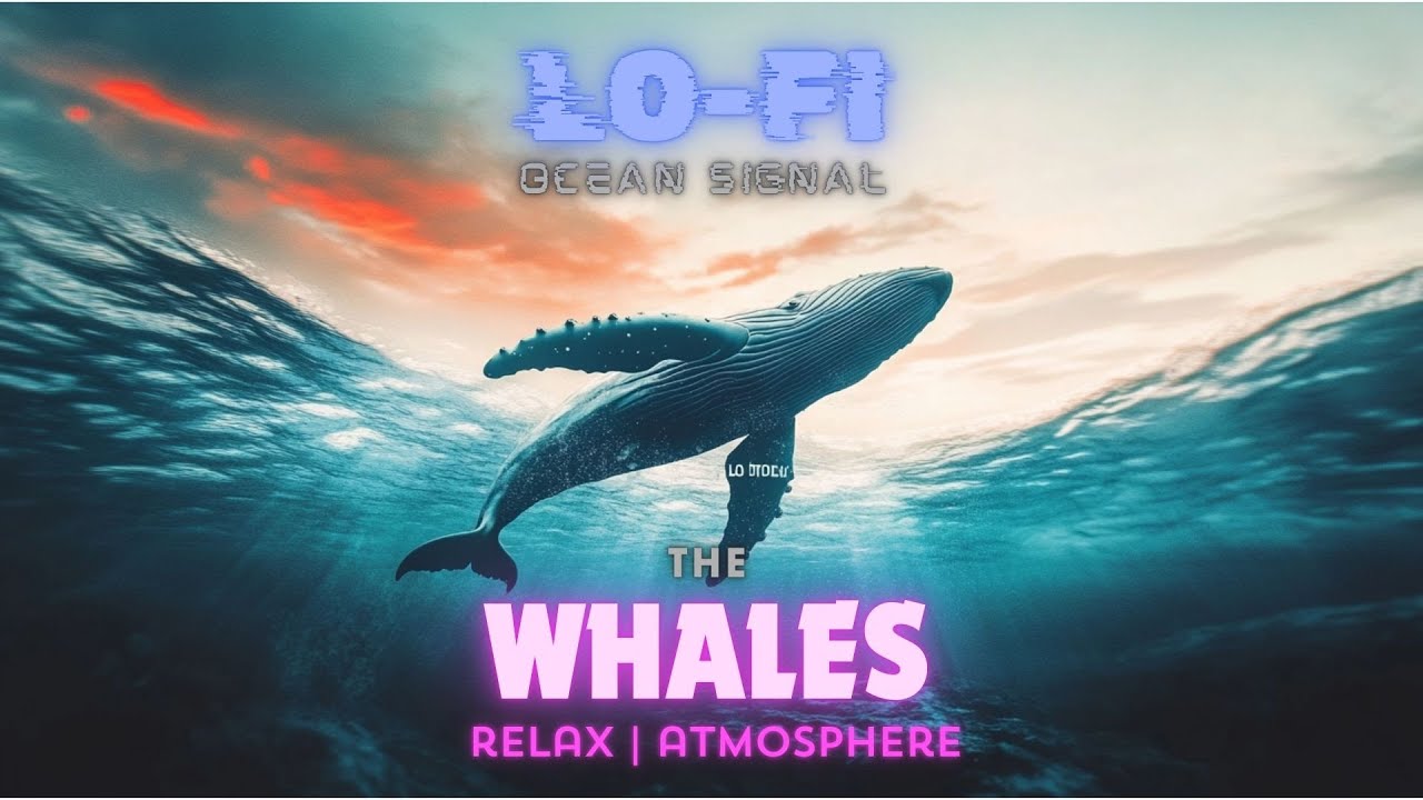 Ocean Lo-Fi: Whale Drift - YouTube