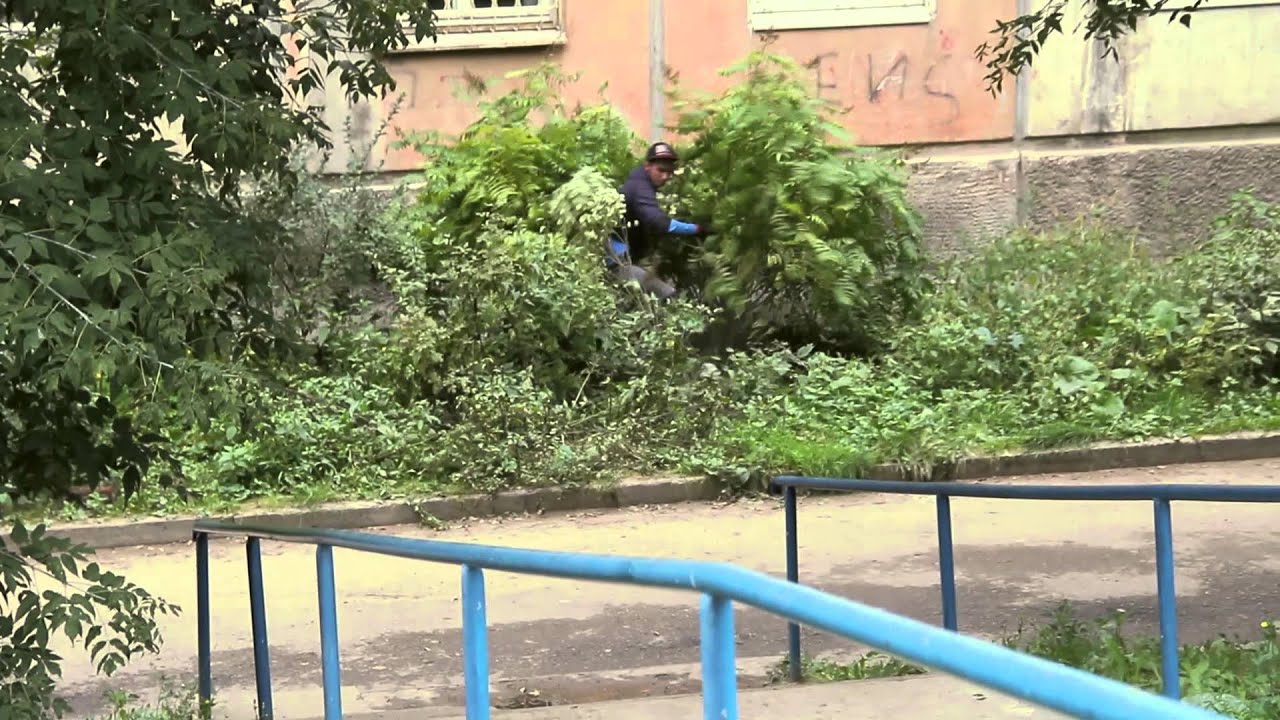 Dmitriy Reznikov Summer'13 - YouTube