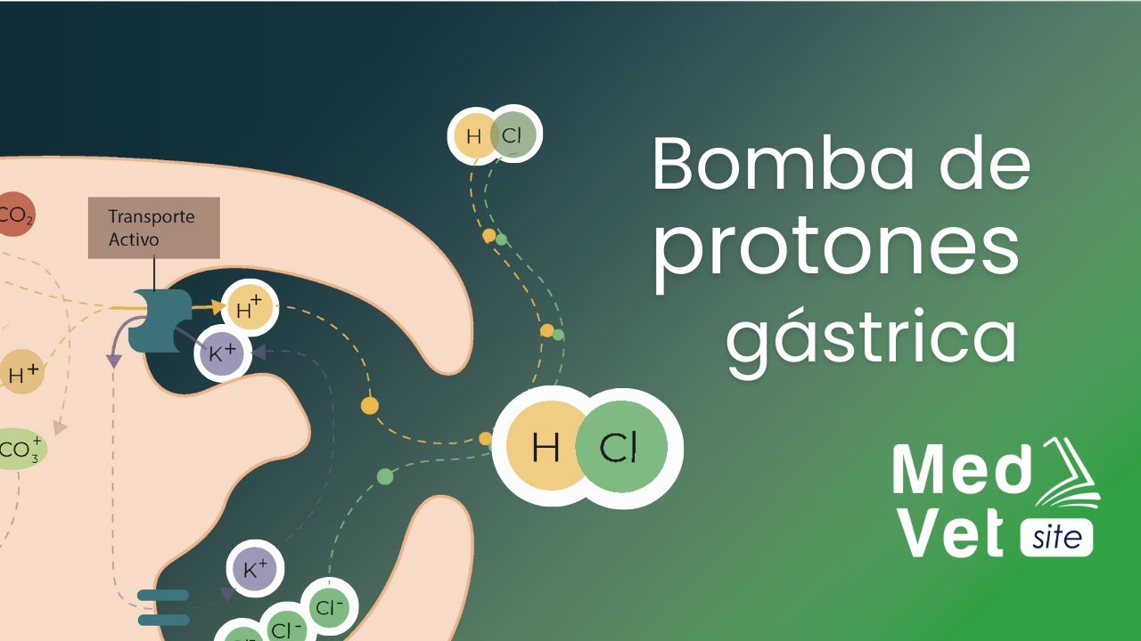Síntesis de ácido clorhídrico HCL. Bomba de protones. (Versión completa ...
