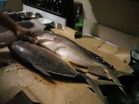 how to clean and filleting a jack fish. Como limpiar y hacer filete un ...