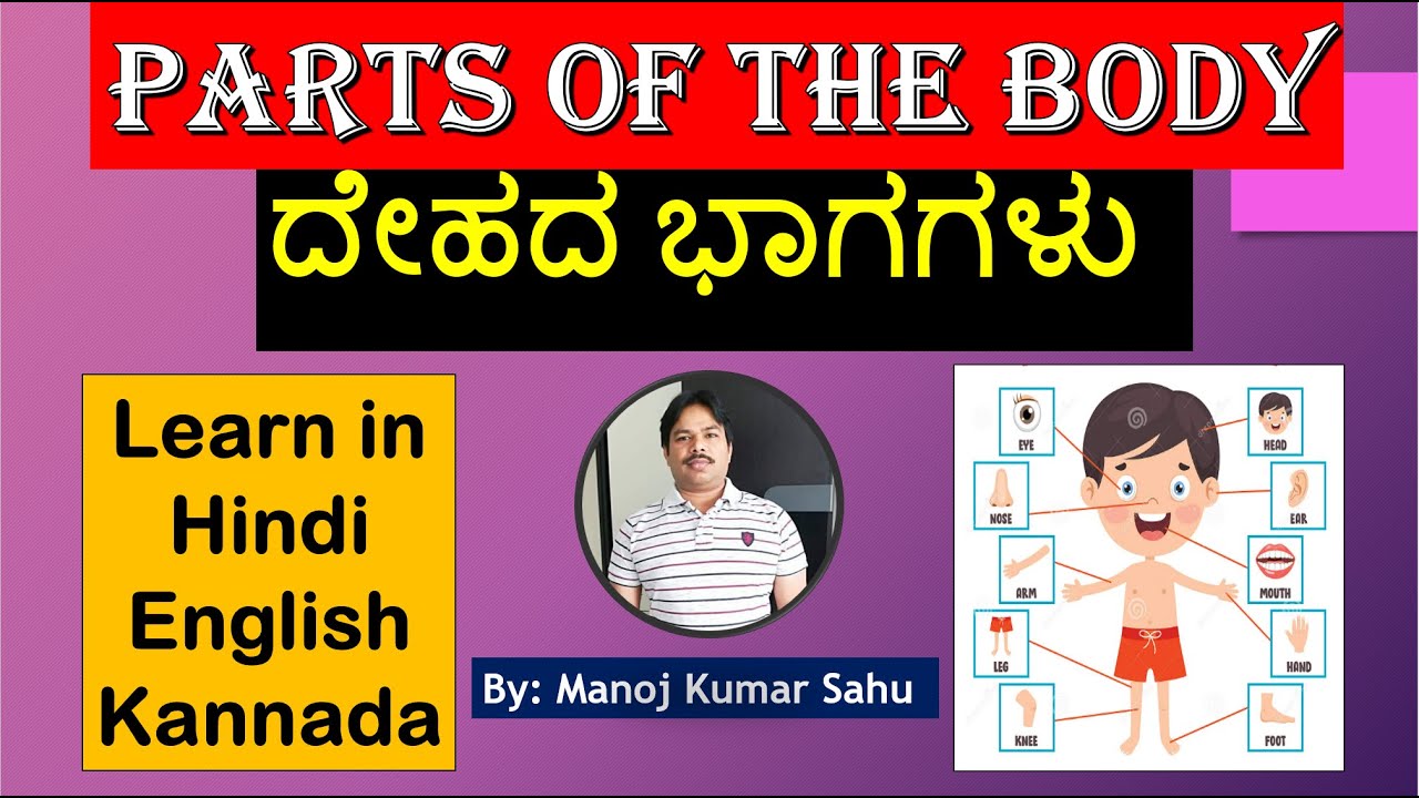 Parts Of The Body In Kannada L Parts Of The Body body parts-of-the-body-in-kannada-l-parts-of-the-body-body