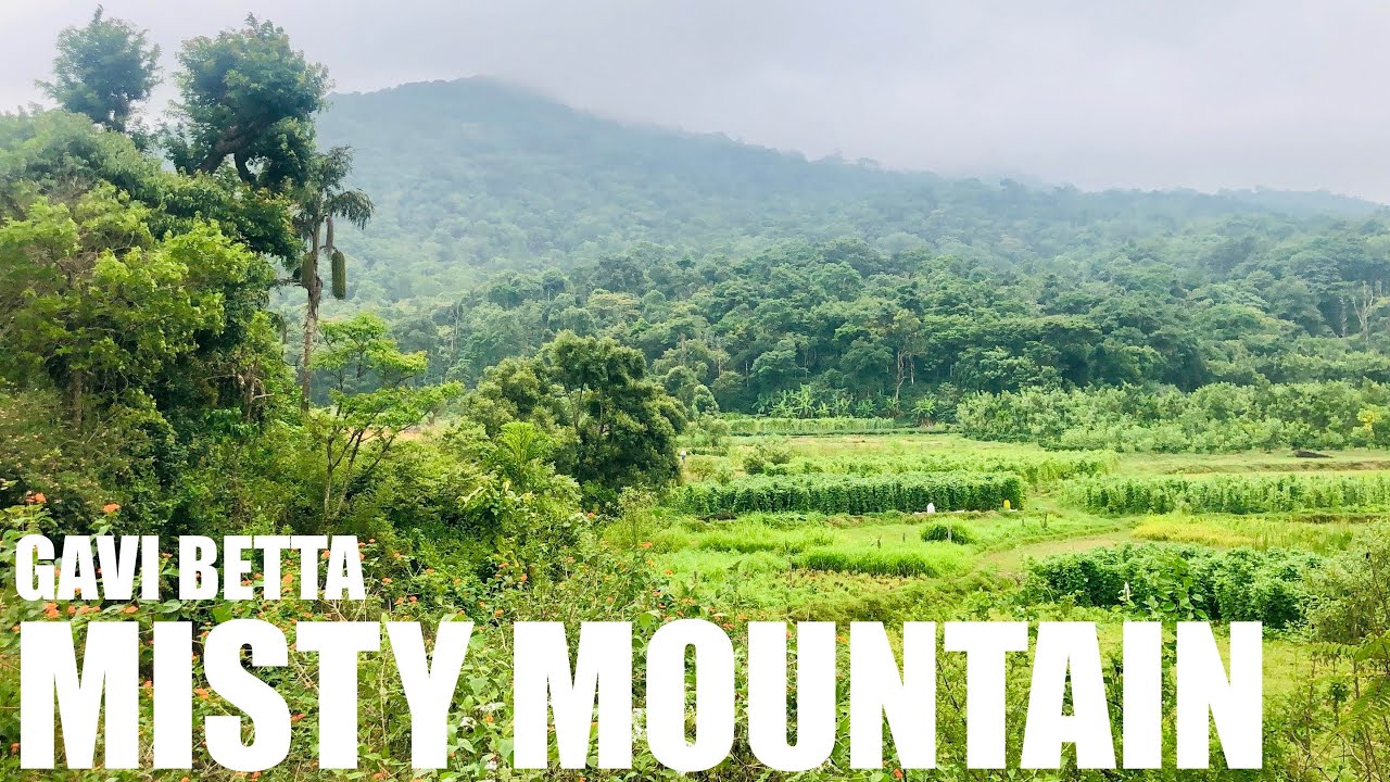 Coorg Misty mountain in relaxing nature 4k drone videos || Coorg nature ...