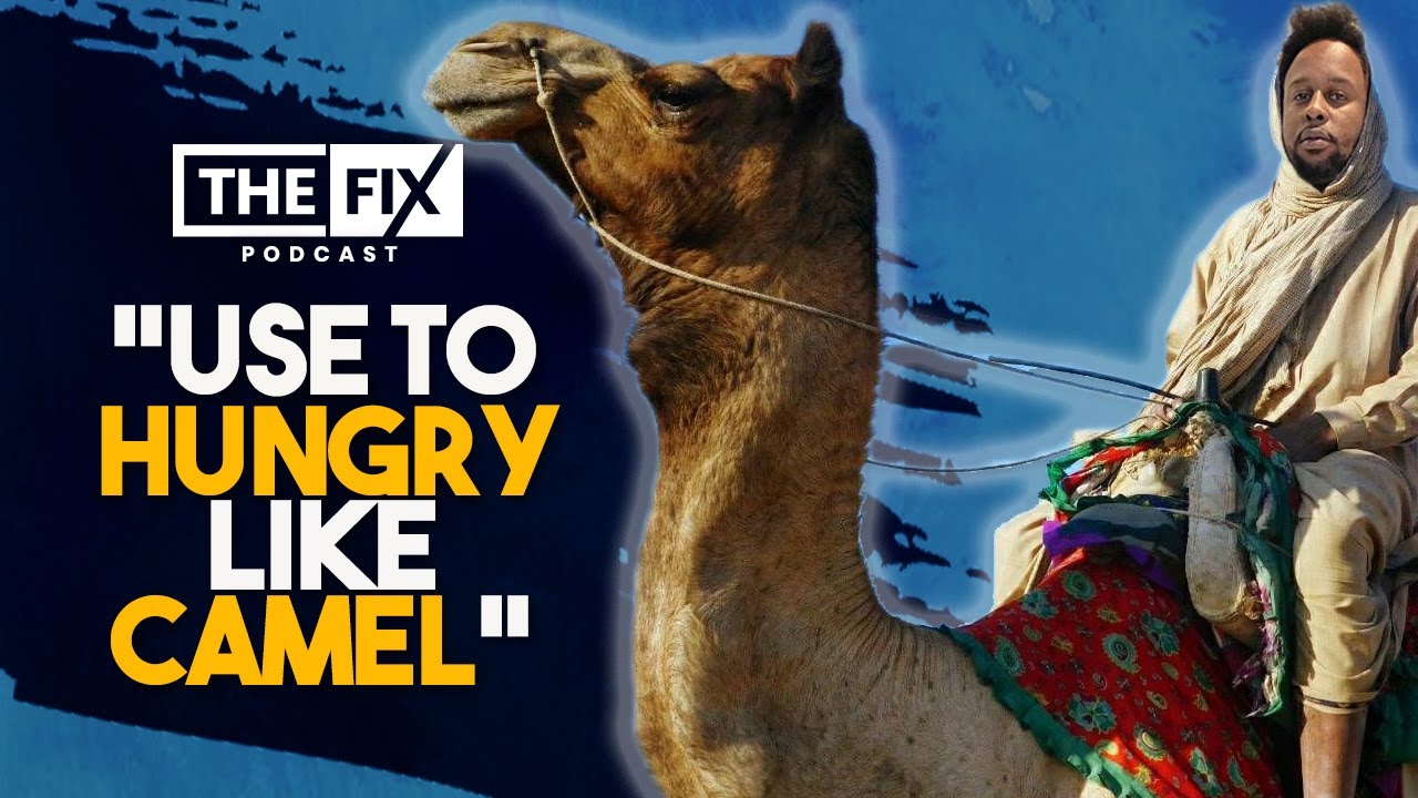 Ari vs Brando Music Review Show on....Camels? (CIVILIZED DEBATE) || The ...