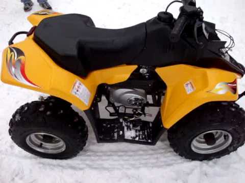 2005 KAZUMA REDCAT KMX 110 - 4 SALE ON EBAY 1/13/2010 - WARMED UP B4 ...