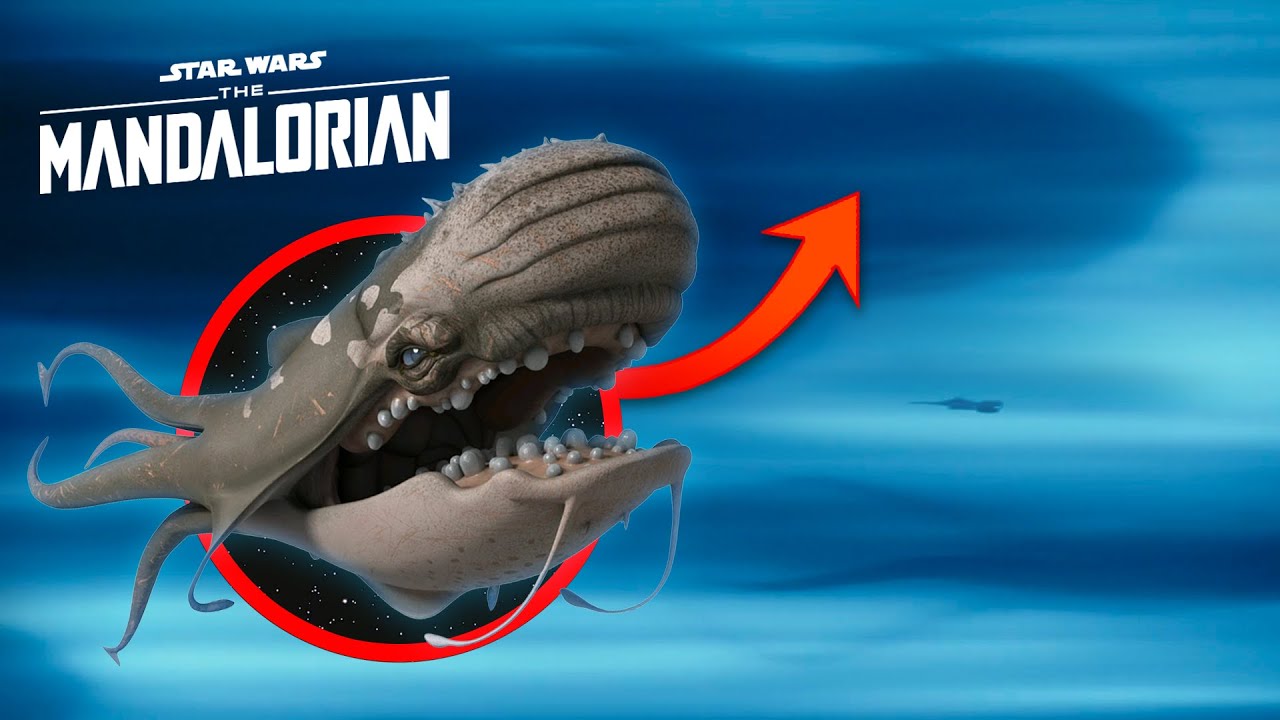 What Are Purrgil and Why They Are So Important to The Mandalorian and ...