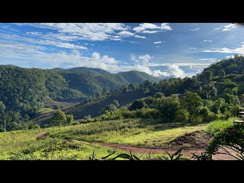 Life (in Huay Pakoot)